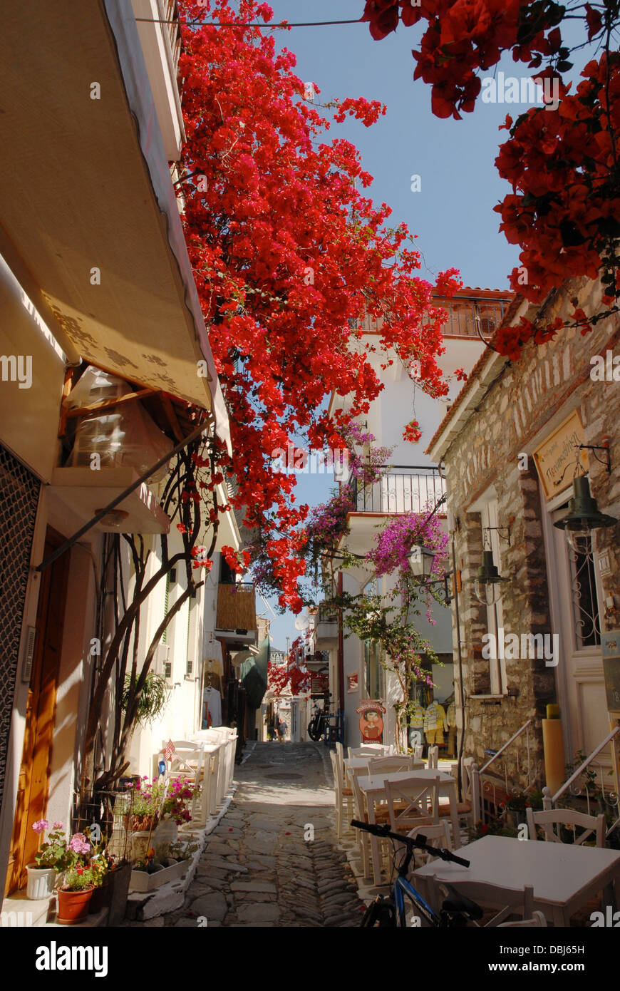 Skiathos Streets High Resolution Stock Photography and Images - Alamy