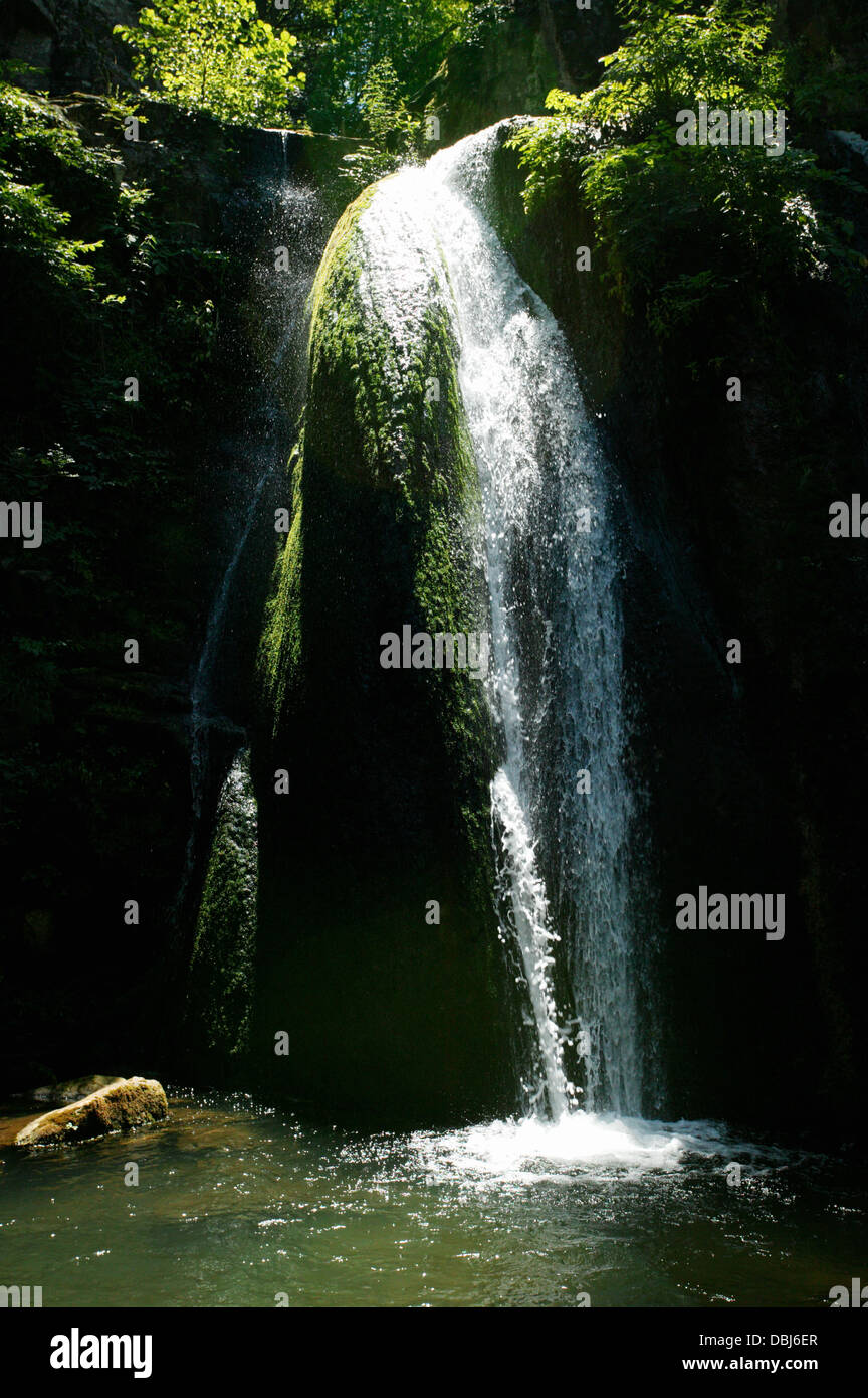 Waterfall in the forest Stock Photo - Alamy