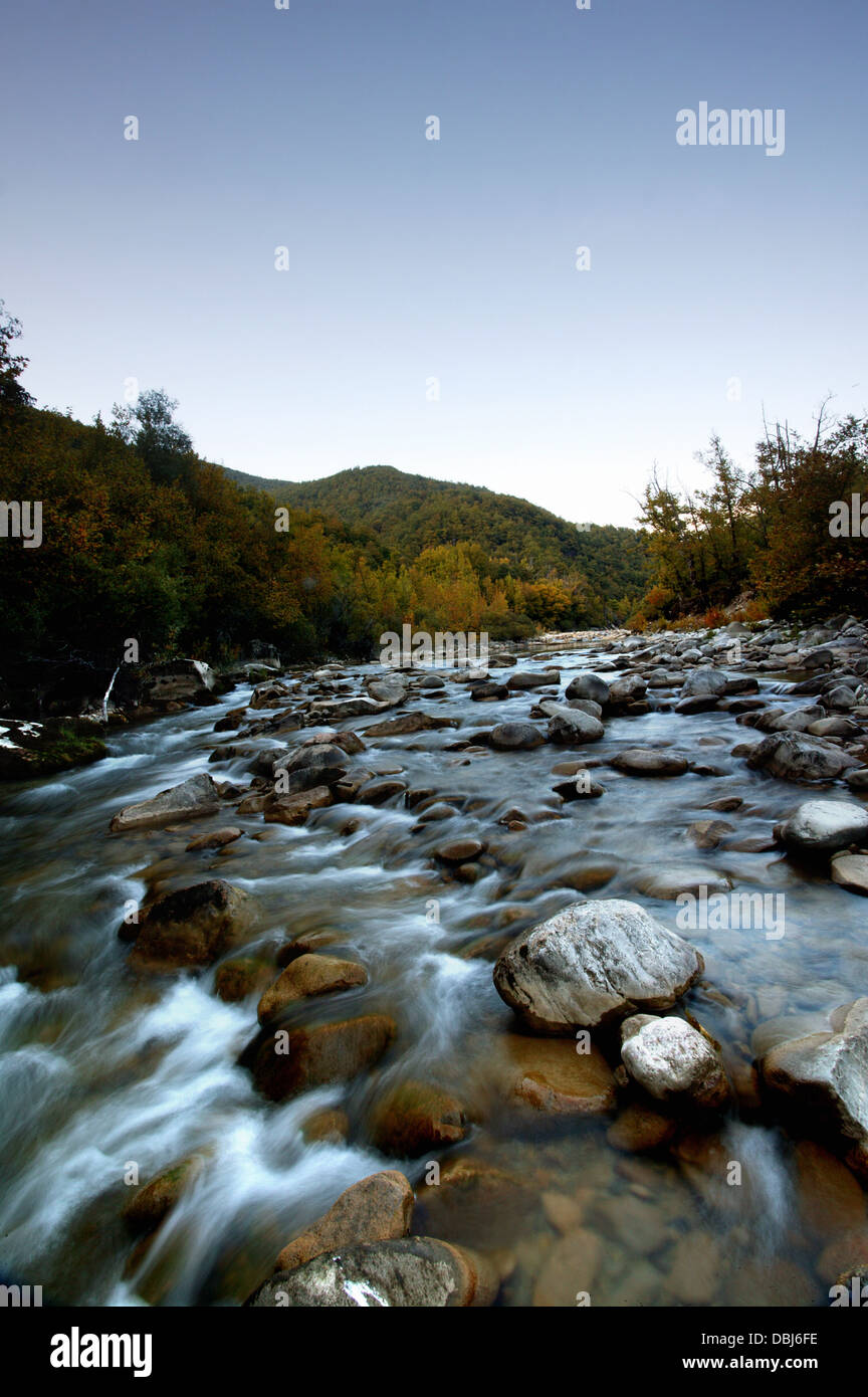 River flowing through forest Stock Photo - Alamy