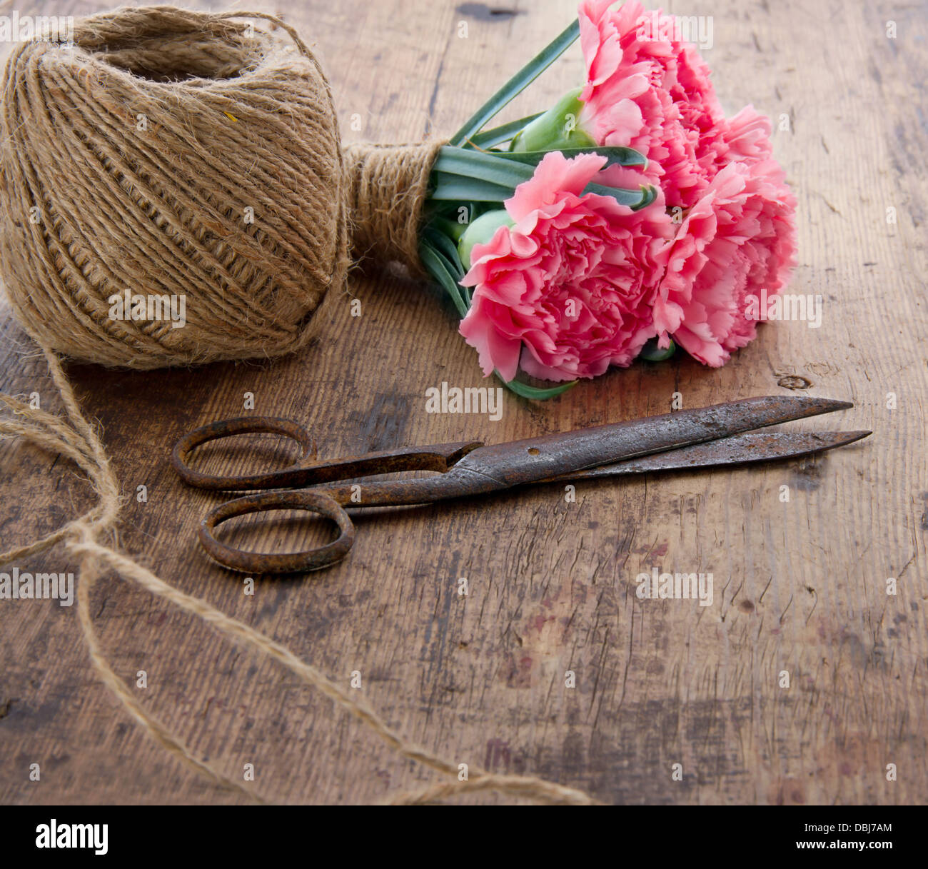 Bouquet of pink carnation flowers with old rusty antique scissors and ...