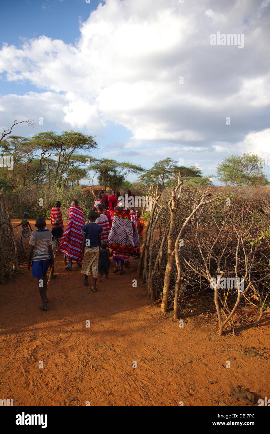 Safari enclosure hi-res stock photography and images - Alamy
