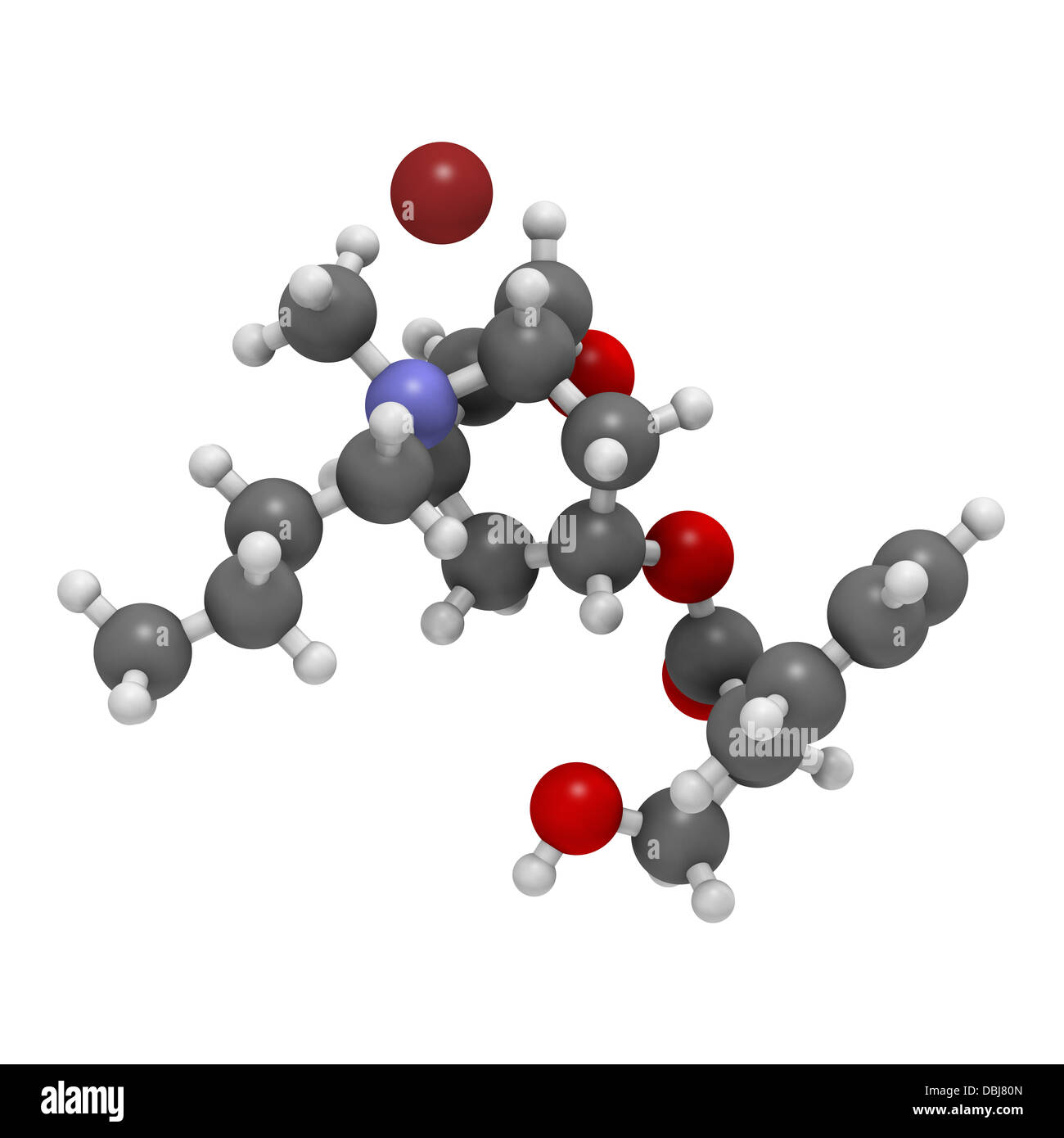 Butylscopolamine (butylhyoscine) bromide abdominal and menstrual cramps ...