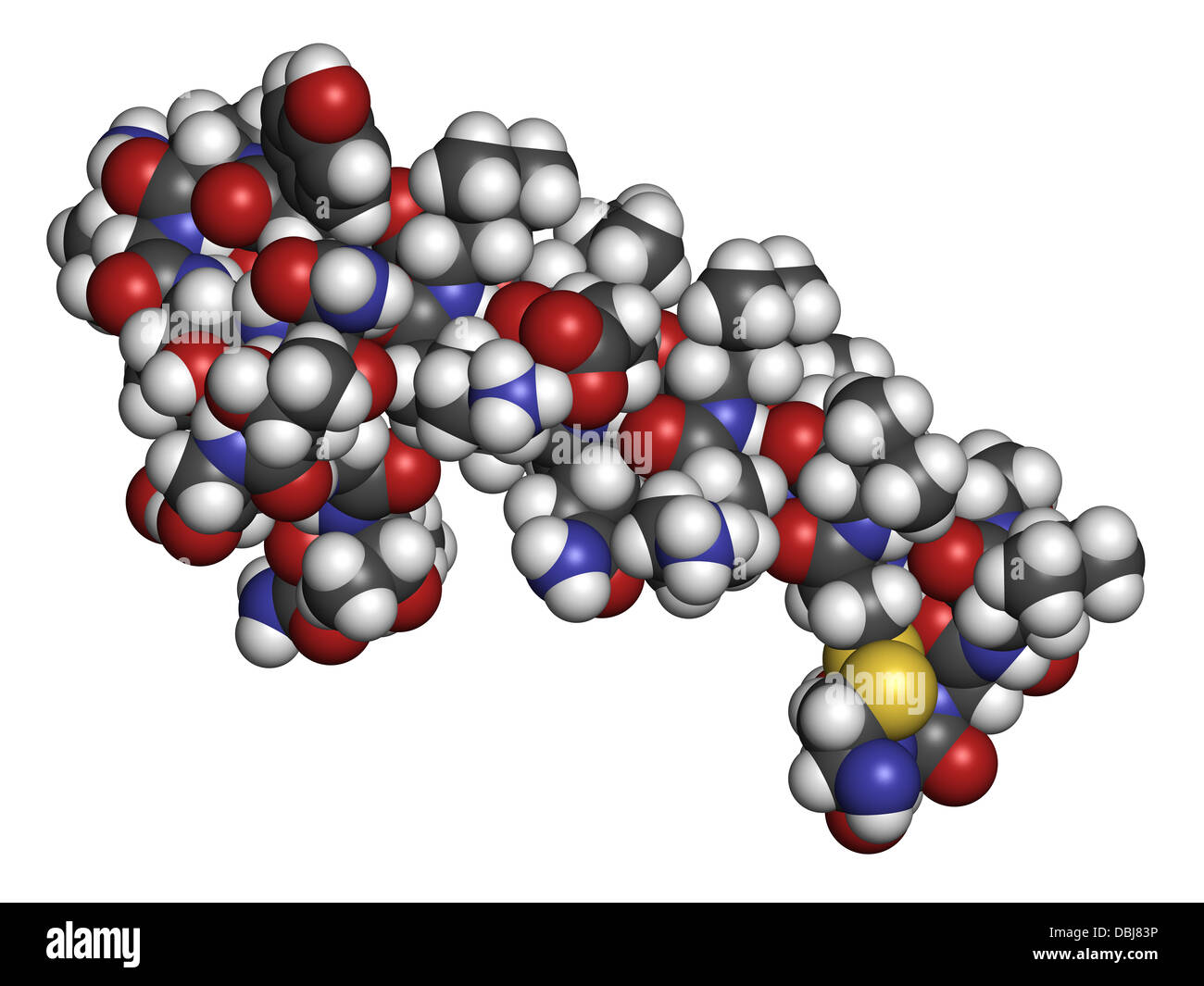 Calcitonin Structure