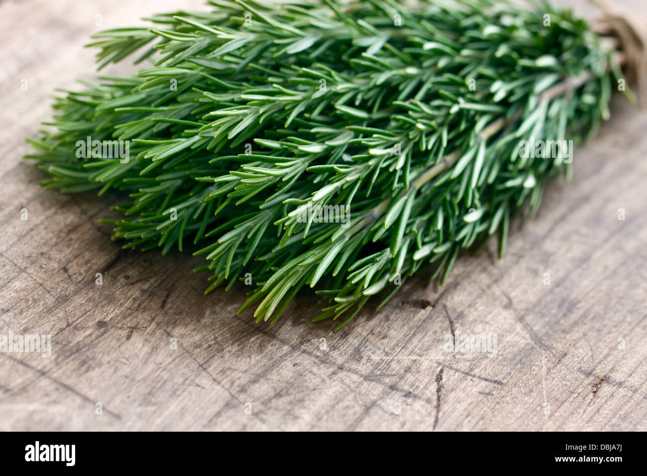 Bunch of green fresh rosemary herbs on rustic wooden table background ...