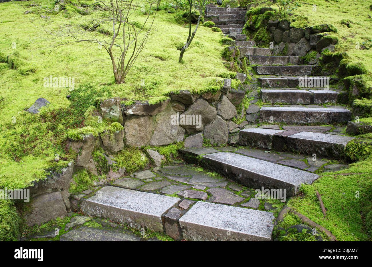 Stair step moss hi-res stock photography and images - Alamy