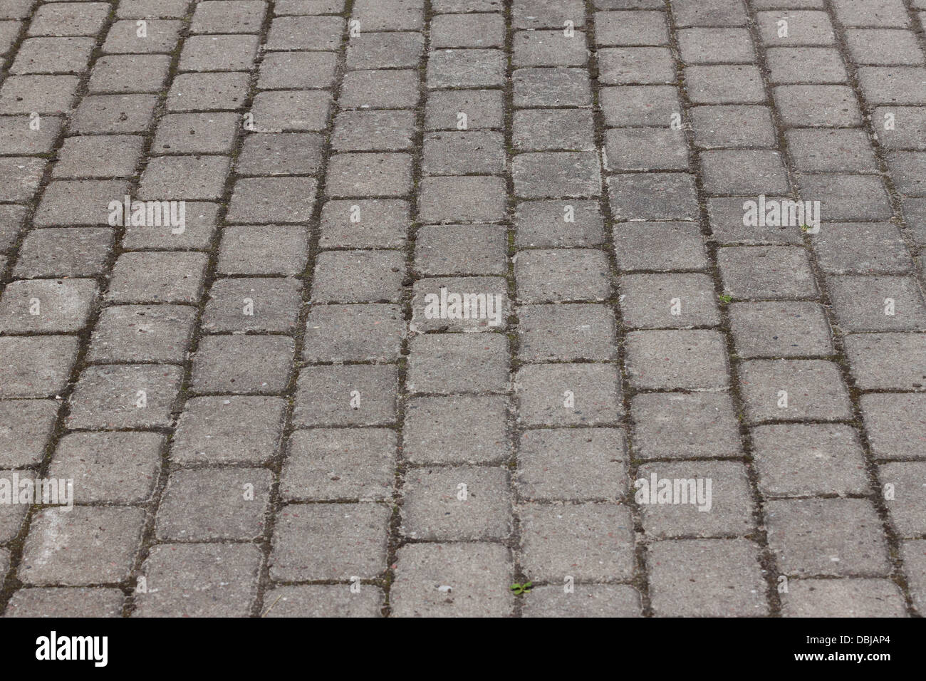 Paved avenue hi-res stock photography and images - Alamy
