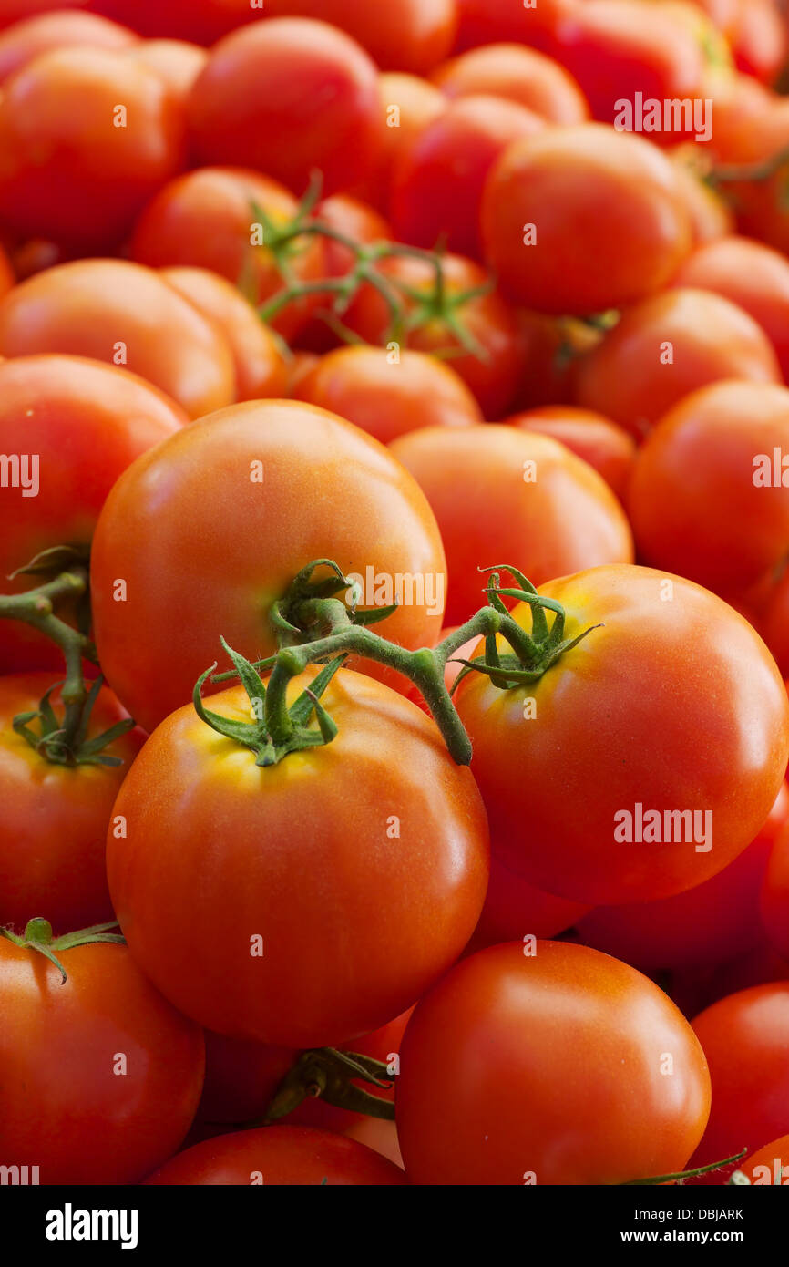 Vined High Resolution Stock Photography and Images - Alamy