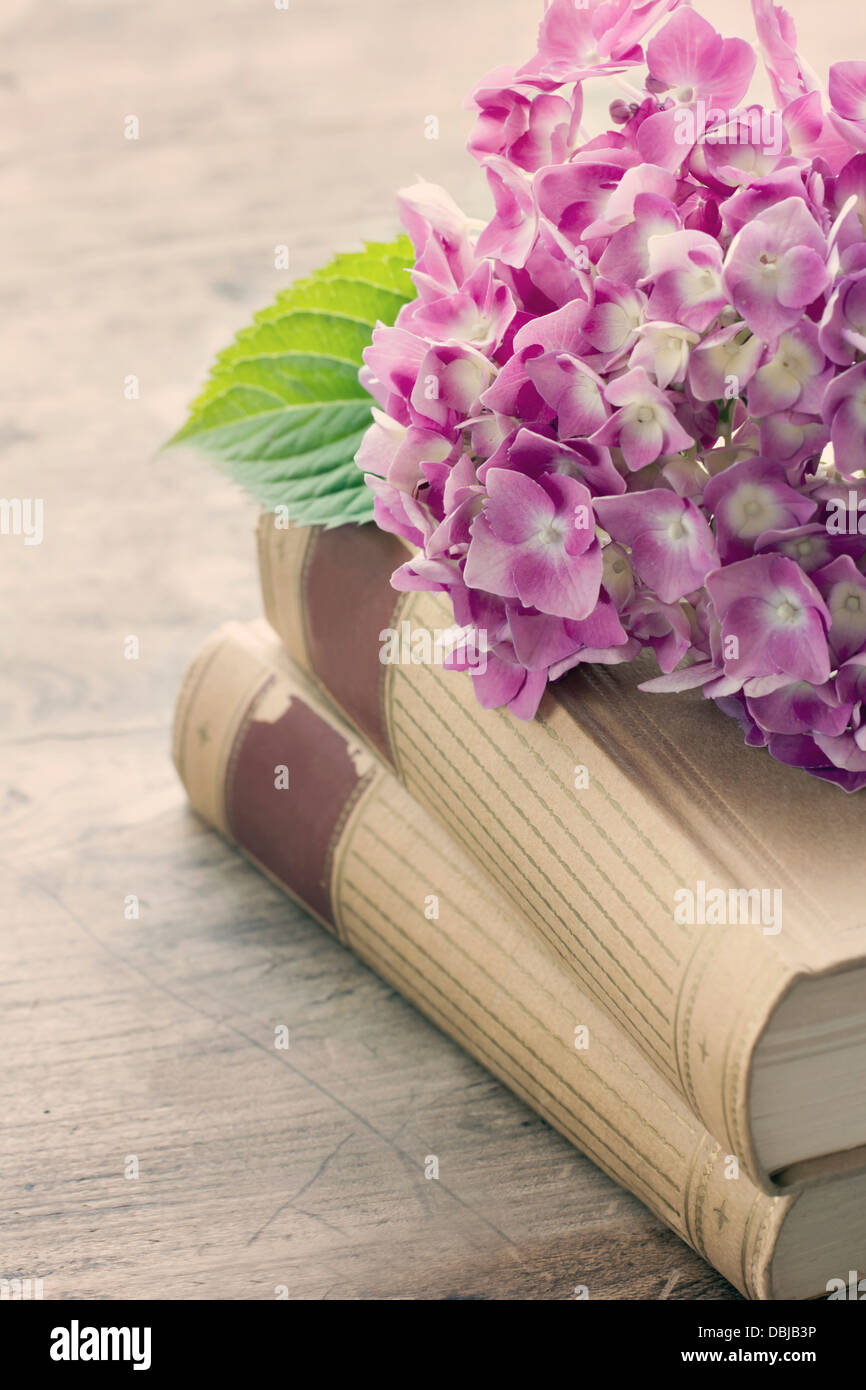 Old books with romantic pink flowers on wooden background, vintage ...