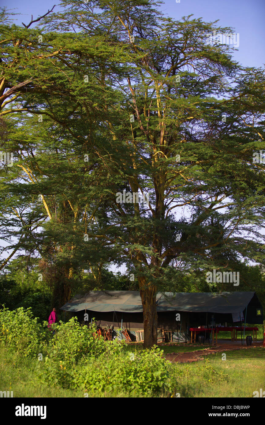 Ol Kinyei Conservancy Camp. Near Masai Mara. Kenya, Africa Stock Photo ...
