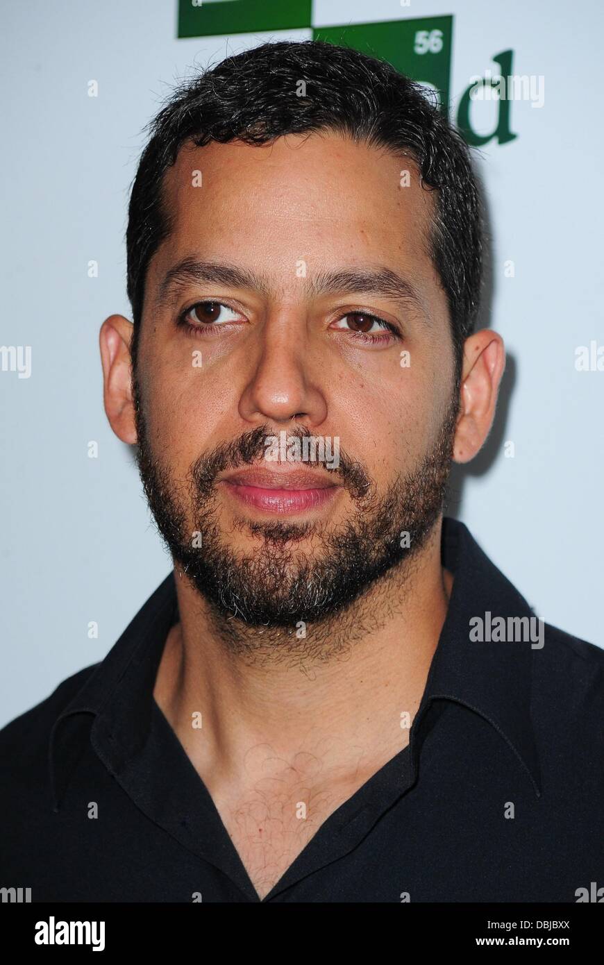 New York, NY. 31st July, 2013. David Blaine at arrivals for The Film ...