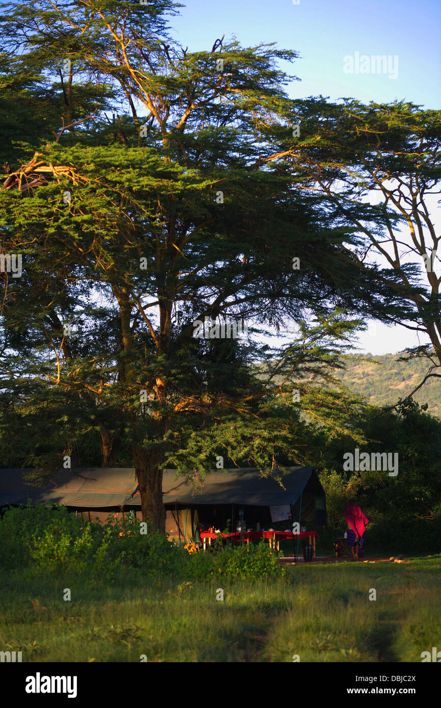 Ol Kinyei Conservancy Camp. Near Masai Mara. Kenya, Africa Stock Photo ...