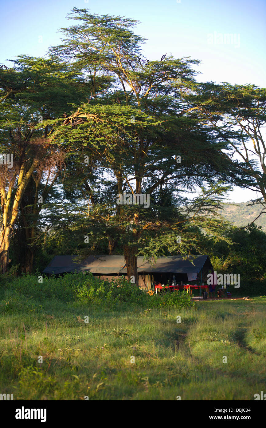 Ol Kinyei Conservancy Camp. Near Masai Mara. Kenya, Africa Stock Photo ...