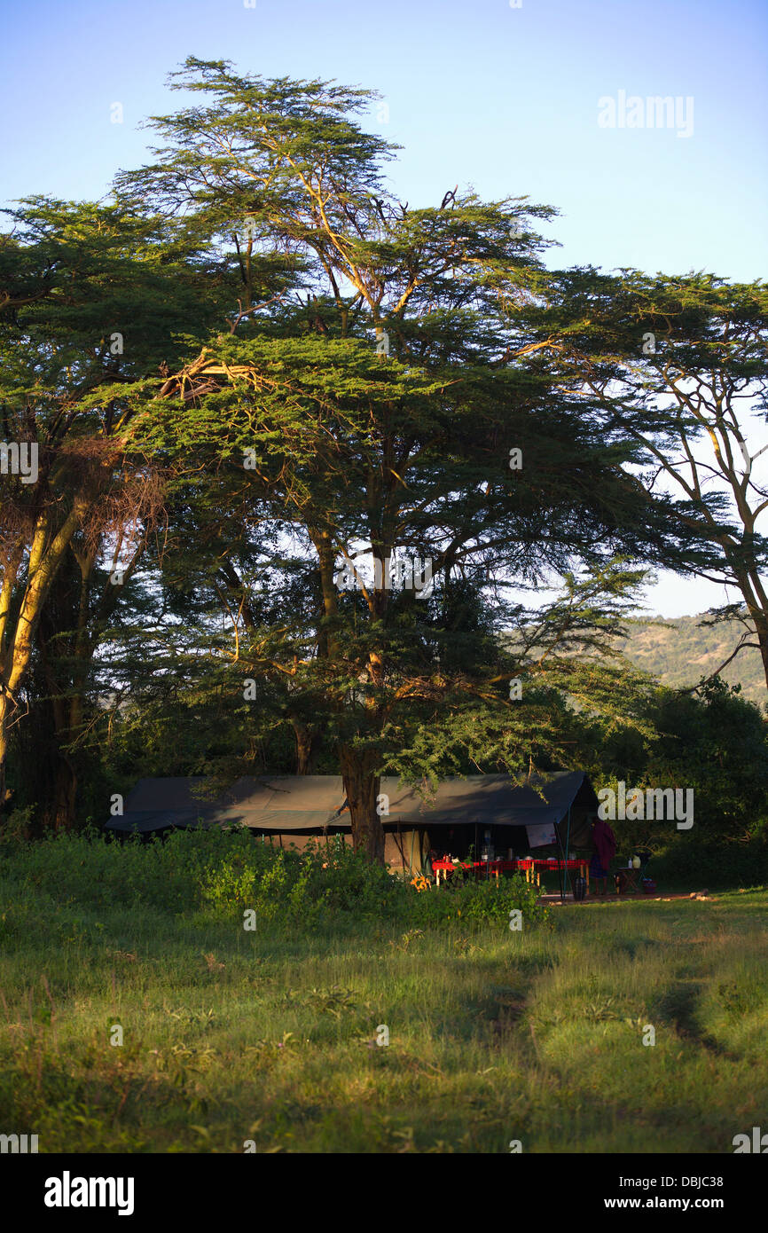 Ol Kinyei Conservancy Camp. Near Masai Mara. Kenya, Africa Stock Photo ...