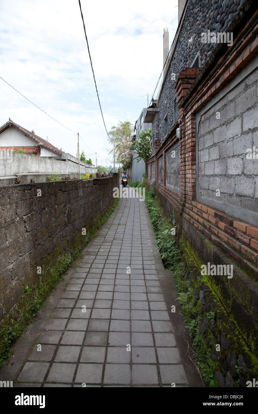 Pathway, Ubud, Bali, Indonesia Stock Photo - Alamy