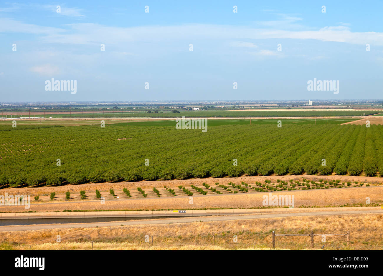 Central California farms and orchards valley view Stock Photo - Alamy