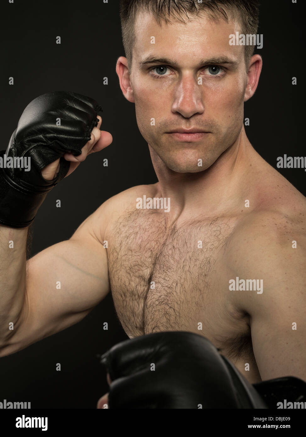 Mixed martial arts fighter Stock Photo - Alamy Mixed martial arts fighter Stock Photo - Alamy