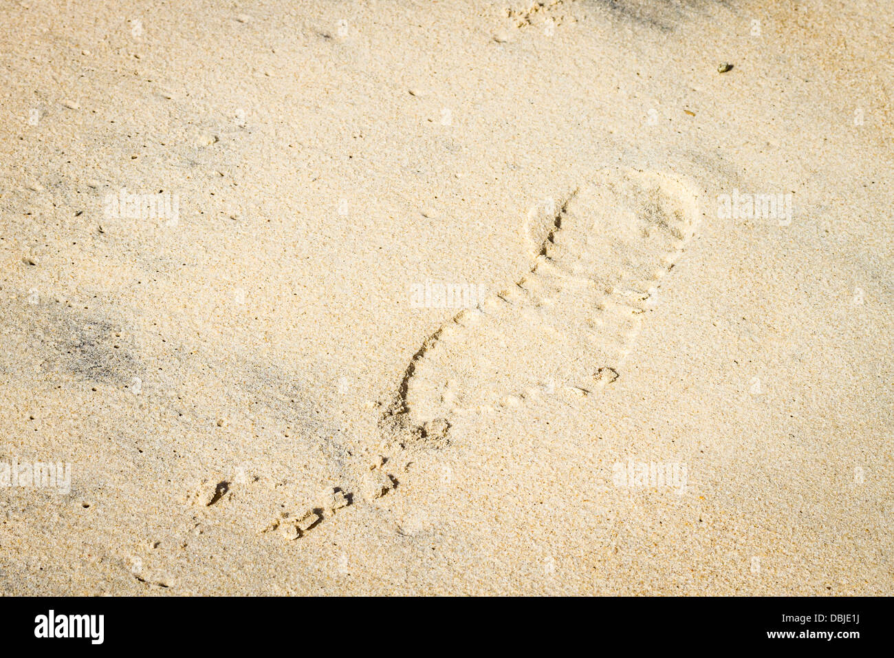 Footprint in sand hi-res stock photography and images - Alamy