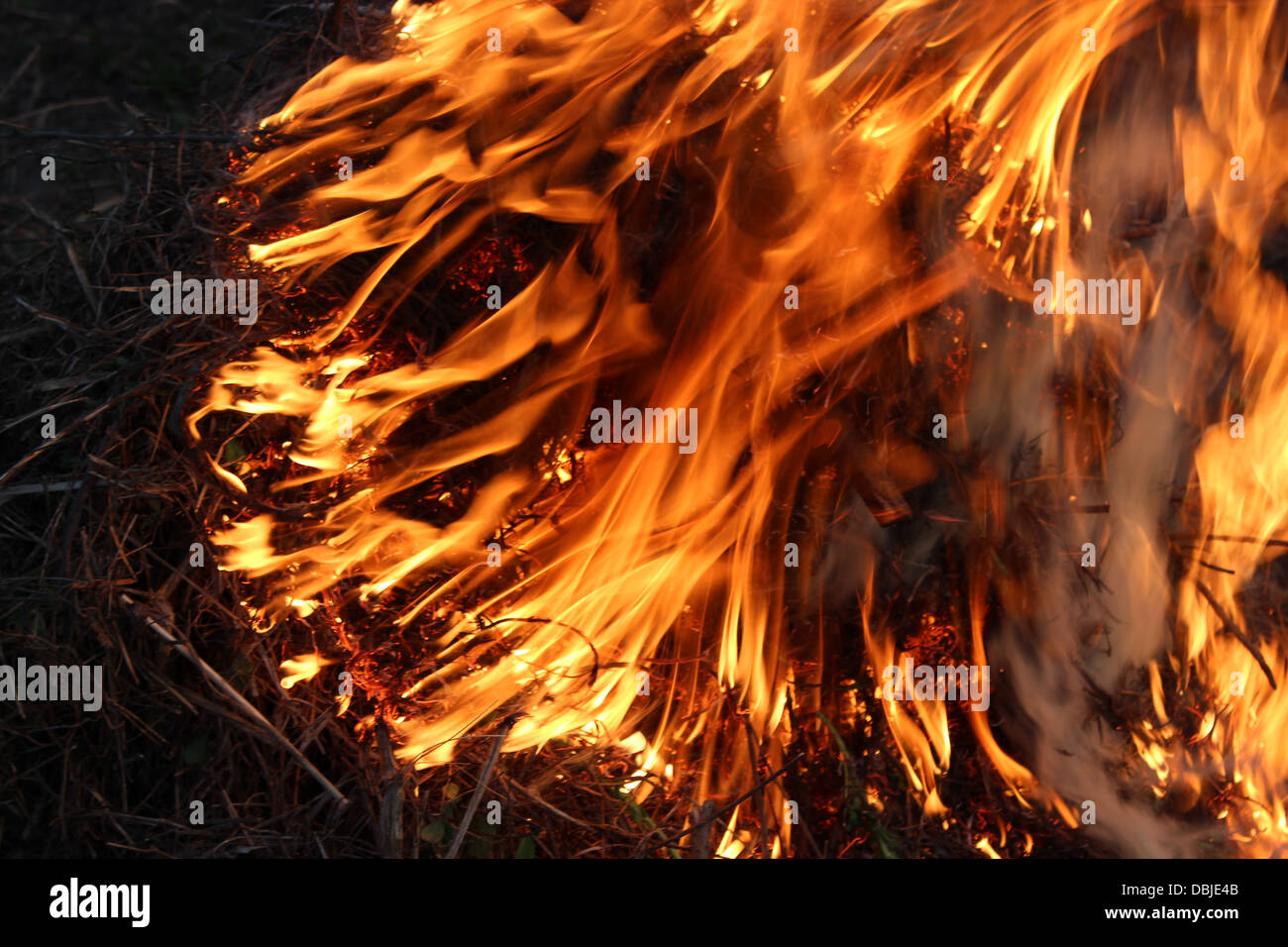 body of flame inflaming in a forest Stock Photo - Alamy