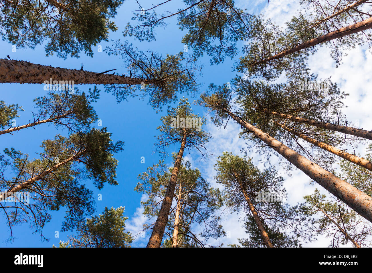 Vertical perspective hi-res stock photography and images - Alamy