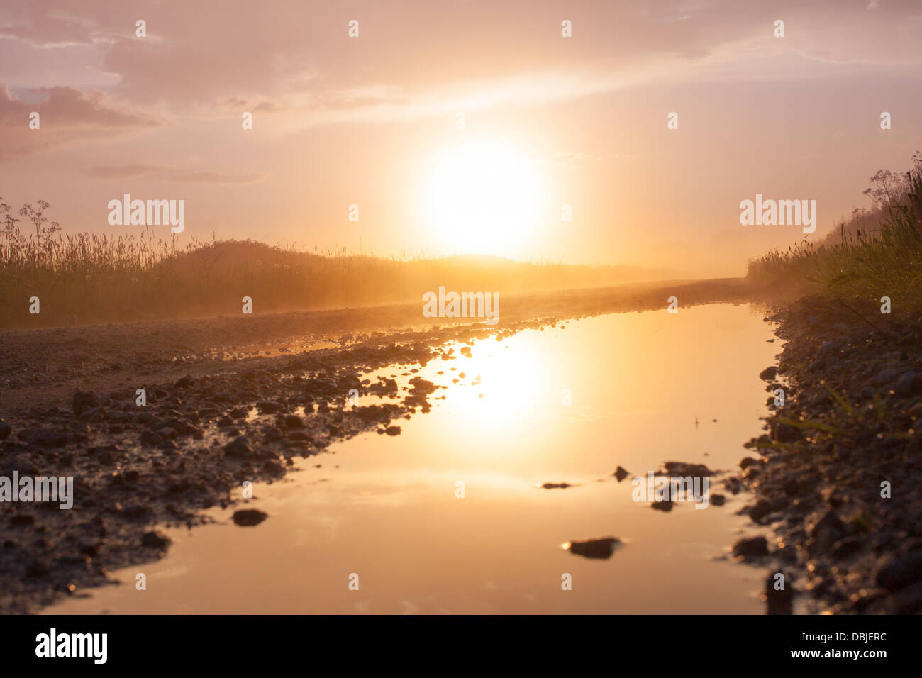 Puddle puddles orange hi-res stock photography and images - Alamy