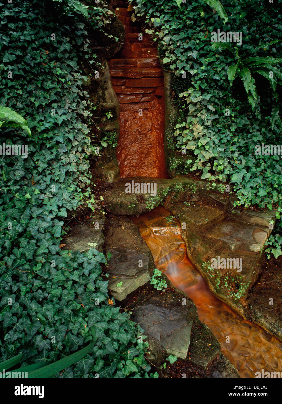 Chalice well hi-res stock photography and images - Alamy