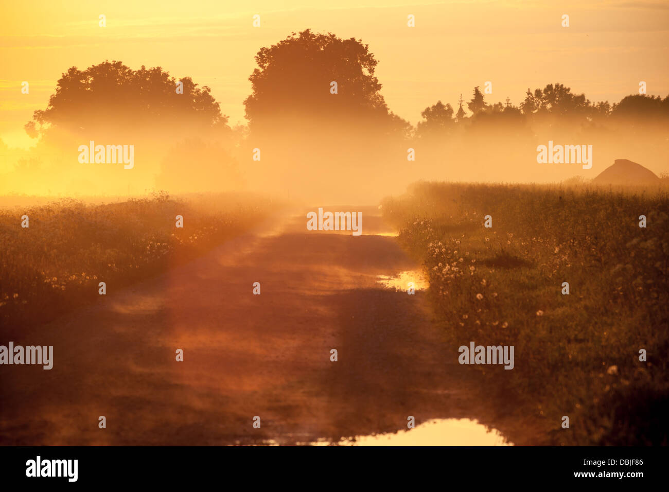 Puddle puddles orange hi-res stock photography and images - Alamy