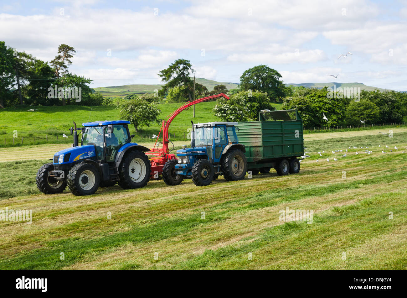 2 tractors cutting grass for silage Stock Photo - Alamy