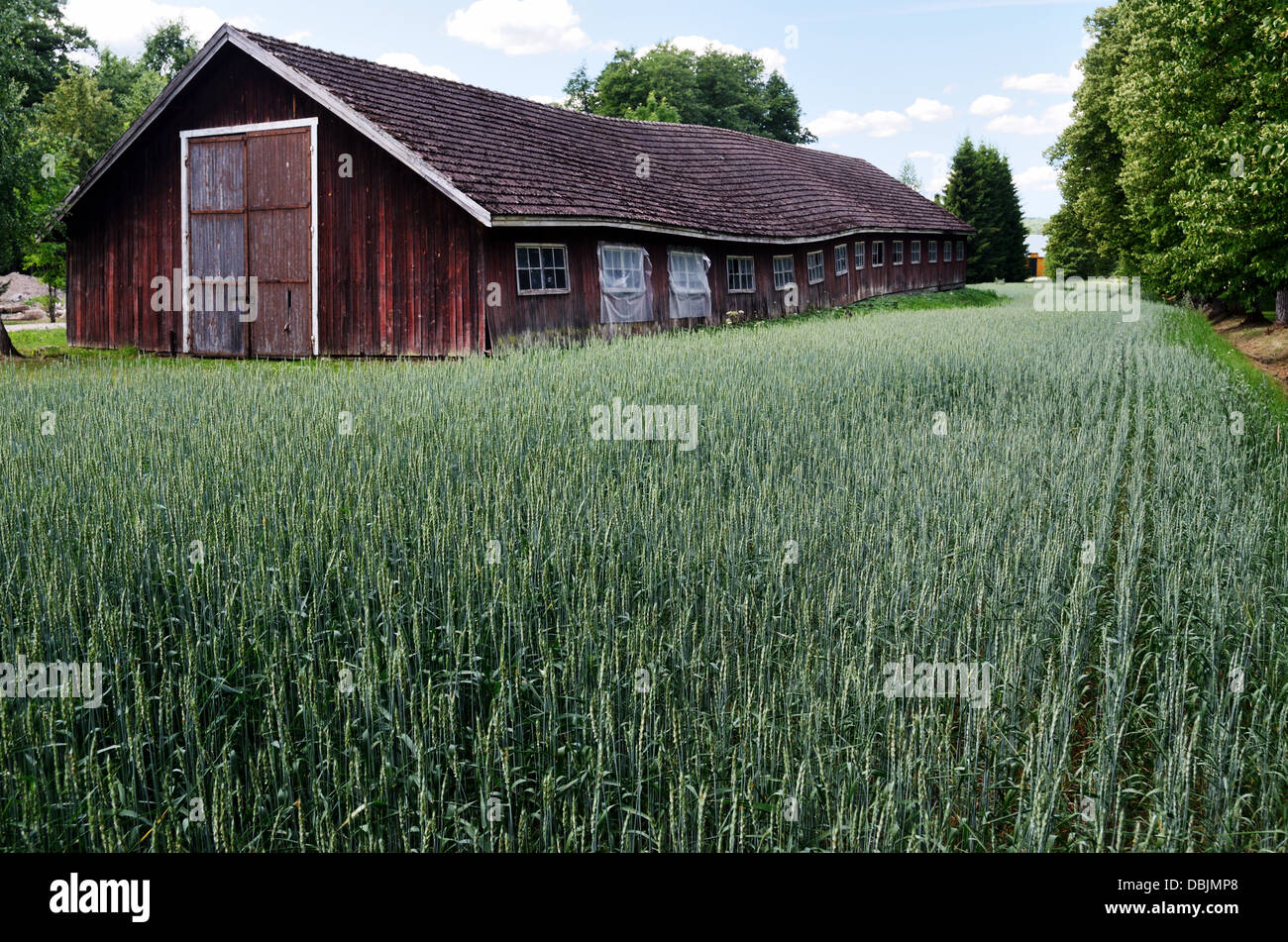 Corn field barn hi-res stock photography and images - Alamy