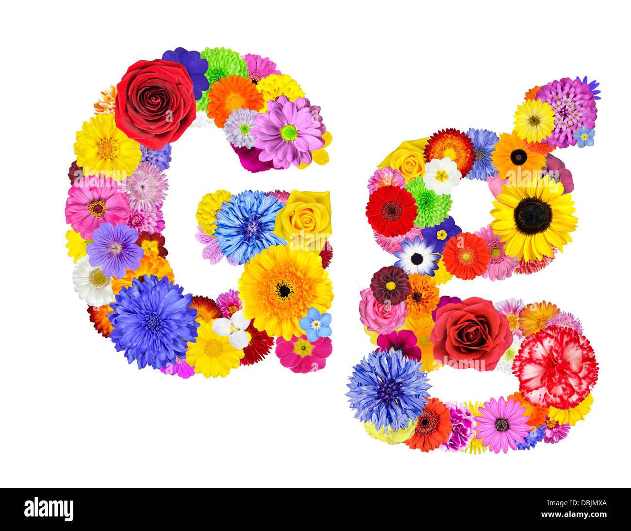Letter G of Flower Alphabet Isolated on White. Letter consist of many ...