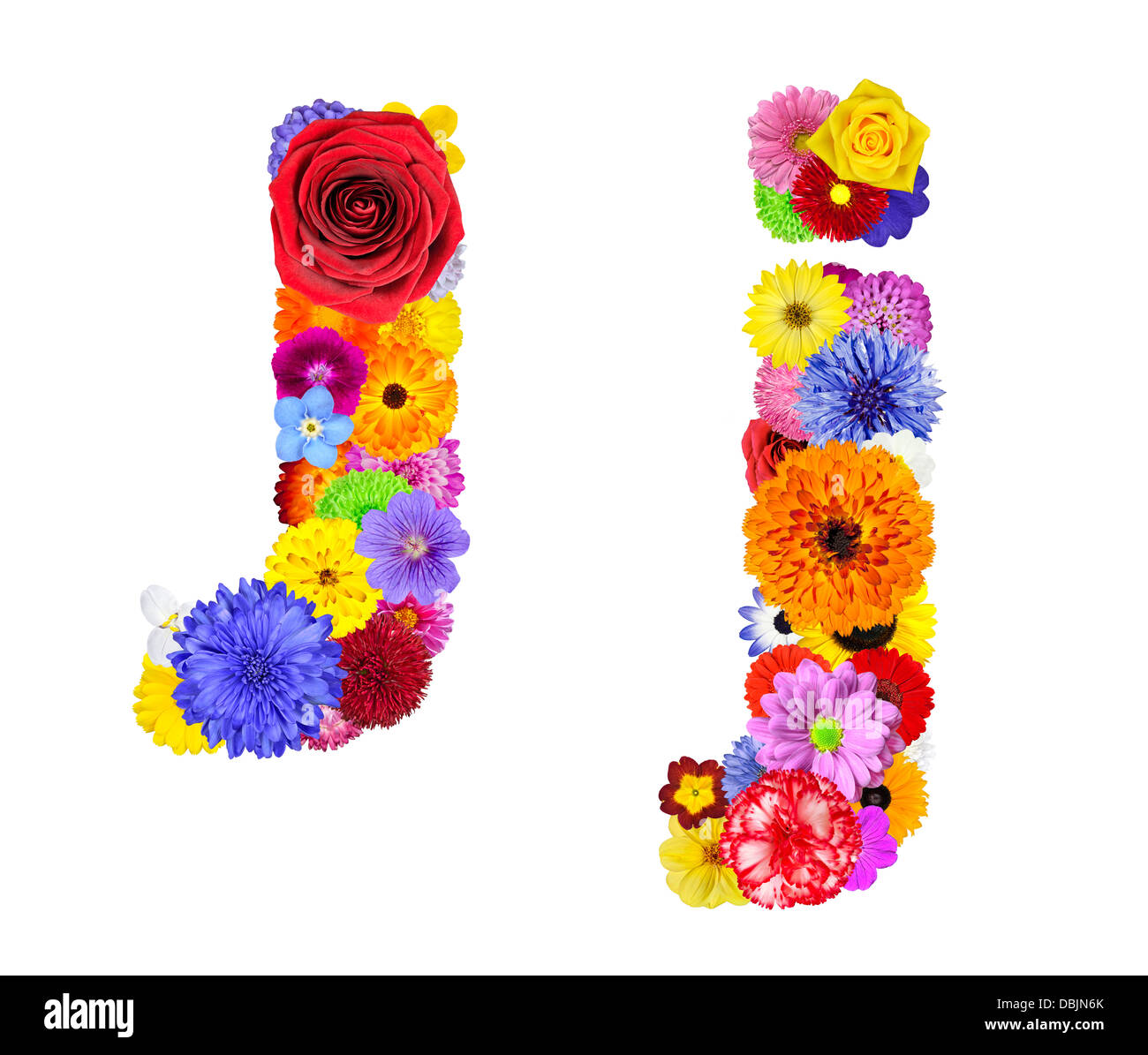 Letter J of Flower Alphabet Isolated on White. Letter consist of many ...