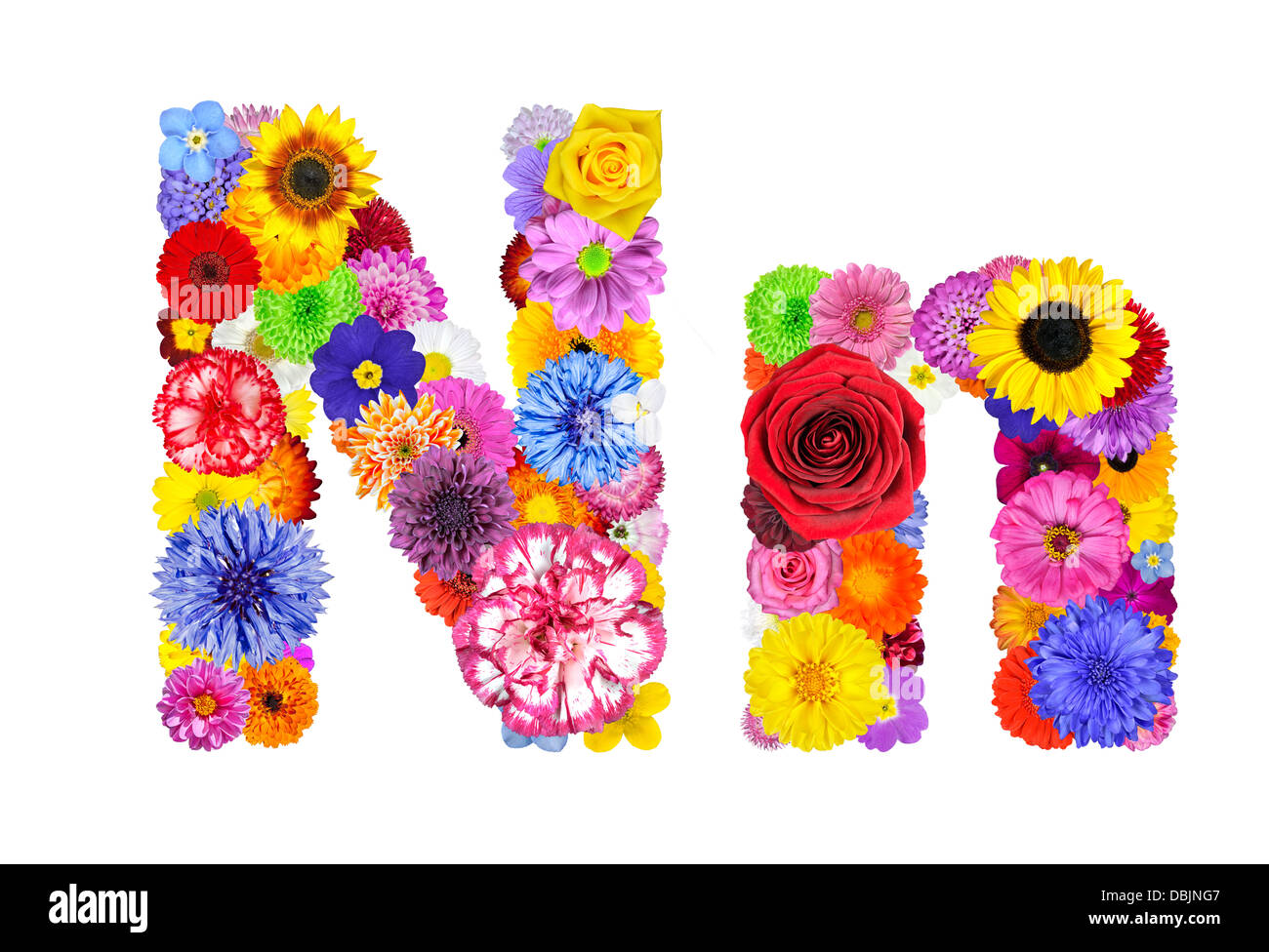 Letter N of Flower Alphabet Isolated on White. Letter consist of many ...
