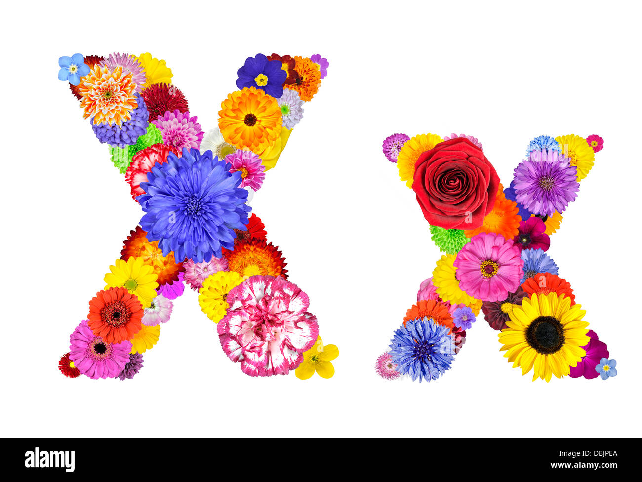 Letter X of Flower Alphabet Isolated on White. Letter consist of many ...