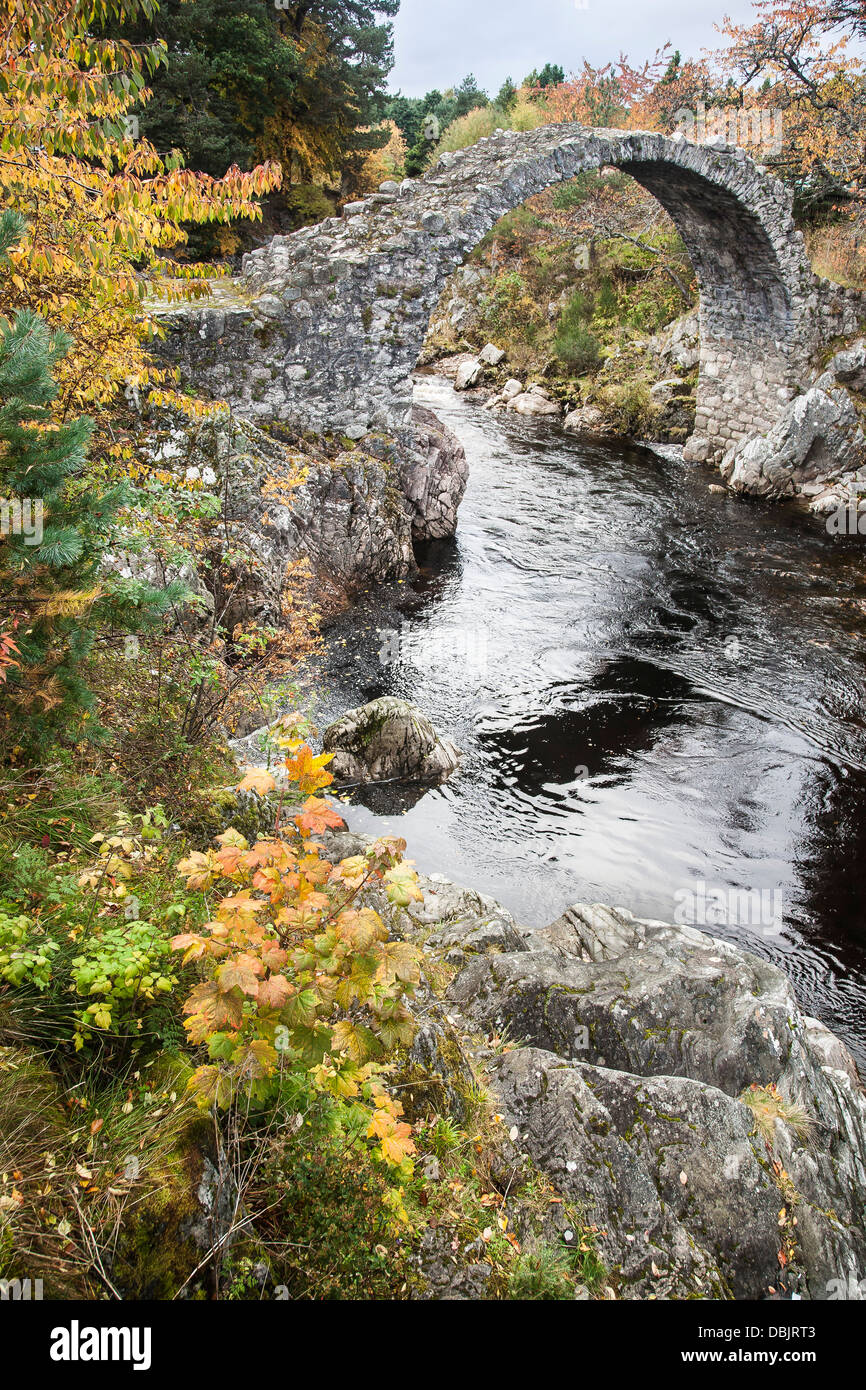 Old Packhorse bridge at Carrbridge in Scotland Stock Photo - Alamy