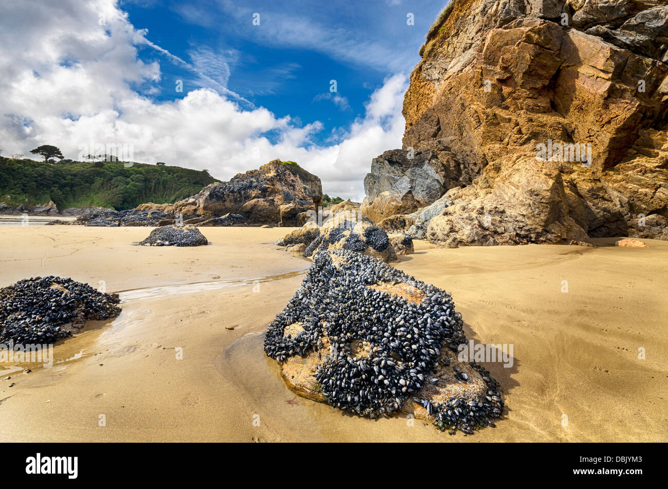 Towering cliffs hi-res stock photography and images - Alamy