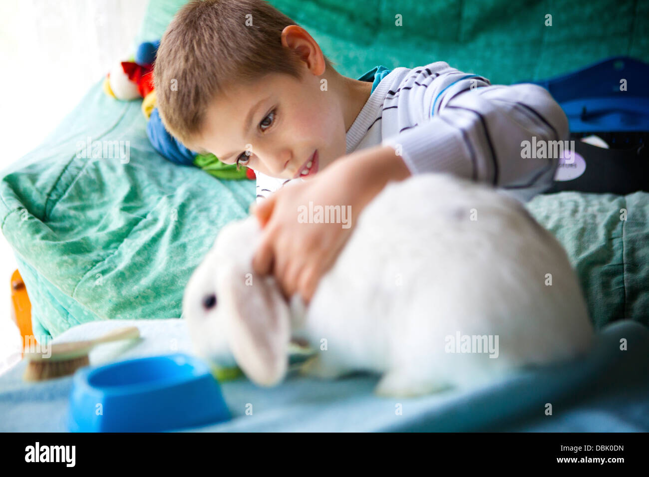 Animal assisted therapy hi-res stock photography and images - Alamy