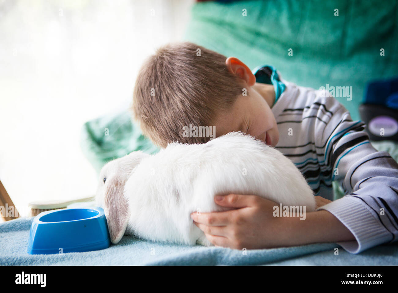 Therapy rabbit hi-res stock photography and images - Alamy