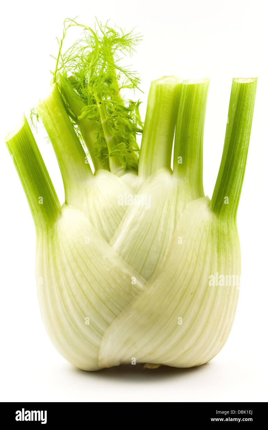green fennel isolated on white background Stock Photo - Alamy