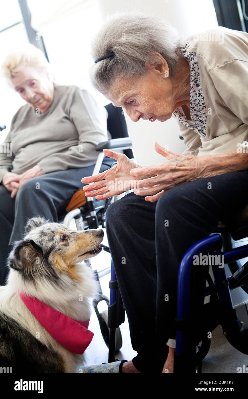 Zootherapy hi-res stock photography and images - Alamy