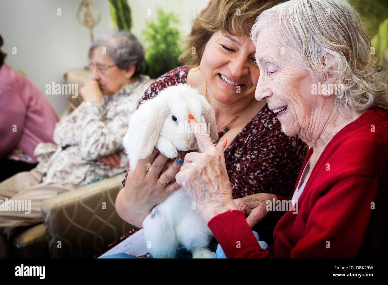 Zootherapy High Resolution Stock Photography and Images - Alamy