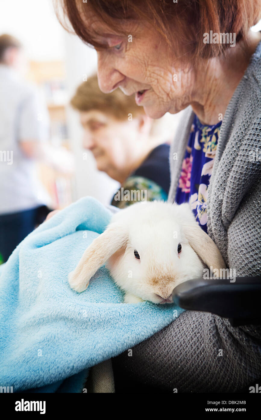 Zootherapy hi-res stock photography and images - Alamy
