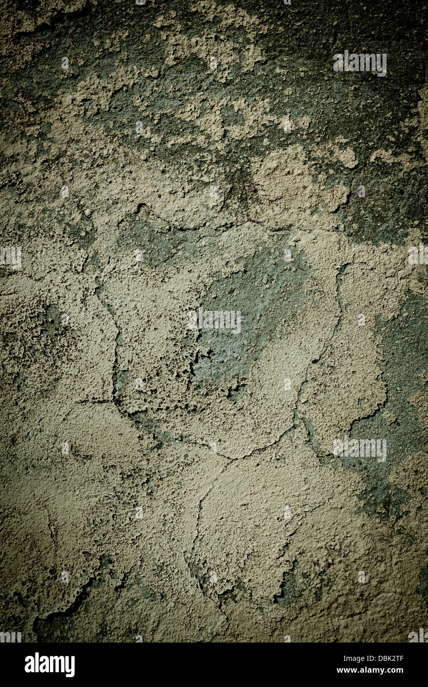 background texture and pattern of a damp grunge wall with mold Stock ...