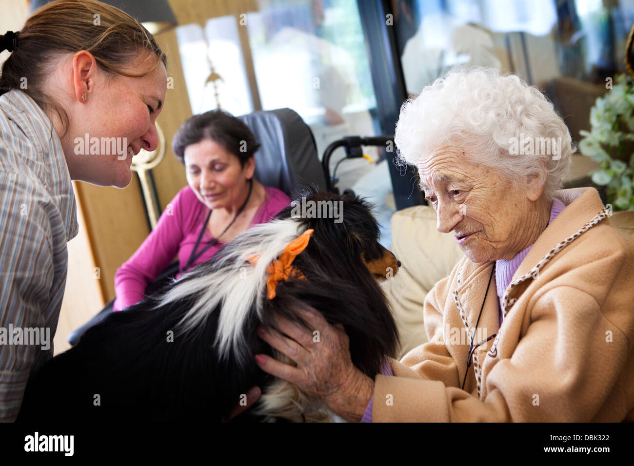 Zootherapy hi-res stock photography and images - Alamy