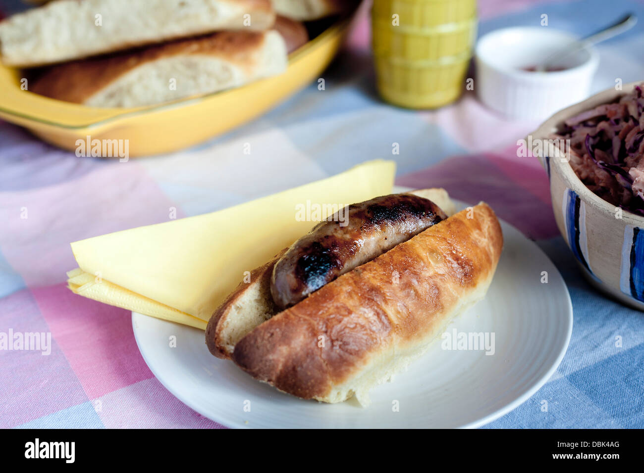 Plain Hot Dog No Bun