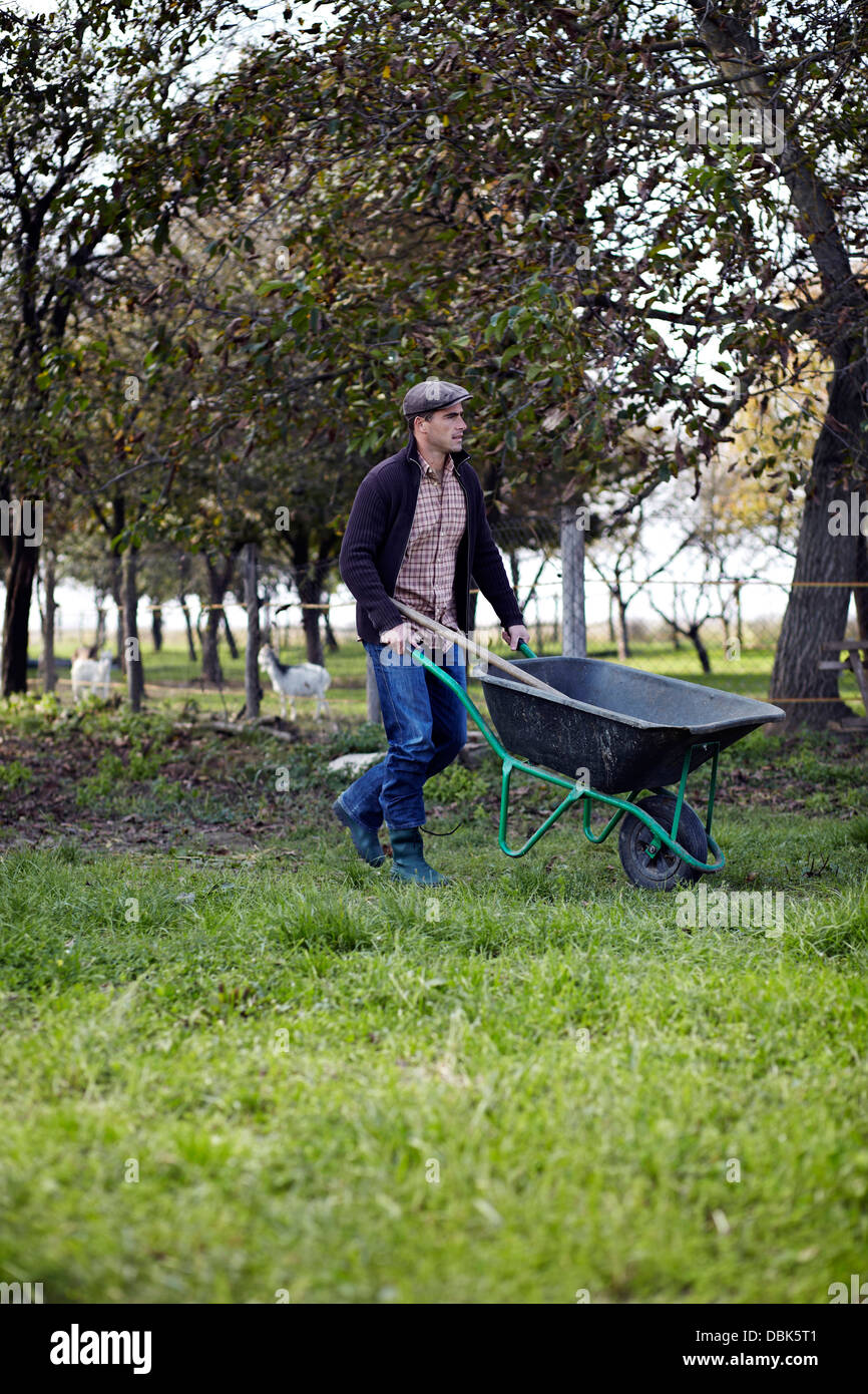 Full length man pushing wheelbarrow garden hi-res stock photography and ...