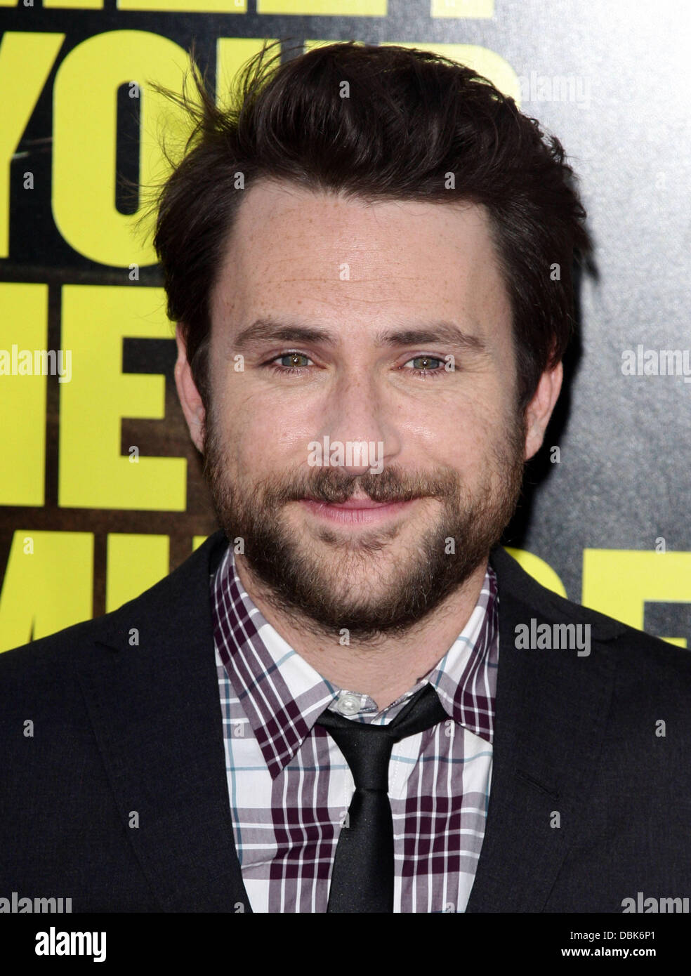 Charlie Day Los Angeles Premiere of Warner Bros. Pictures "Horrible ...