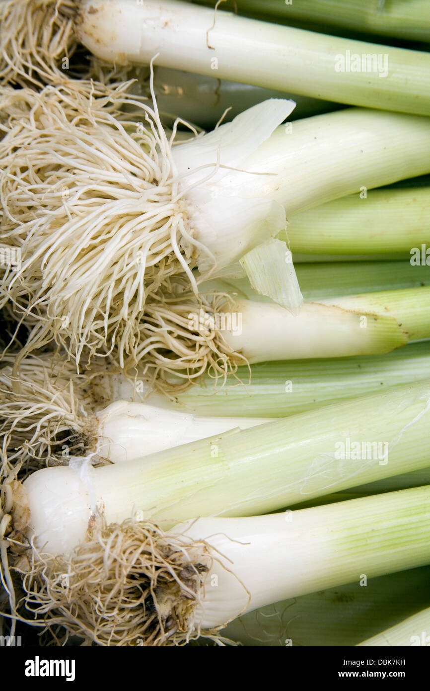 Spring weight science hi-res stock photography and images - Alamy