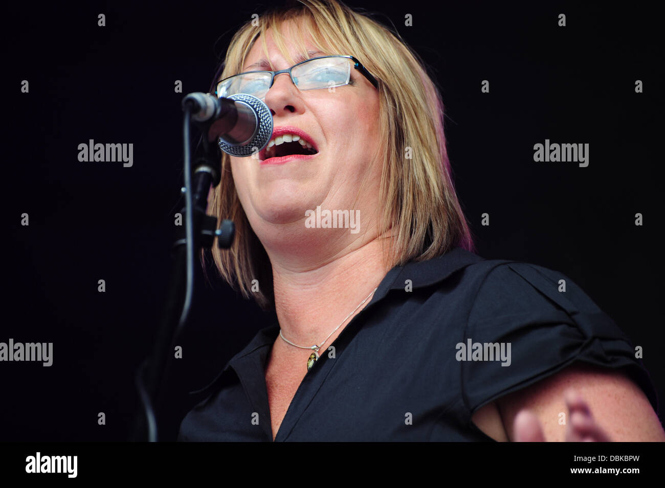 Anthony Harty & The Expensive Musicians The Godiva Festival held at War ...