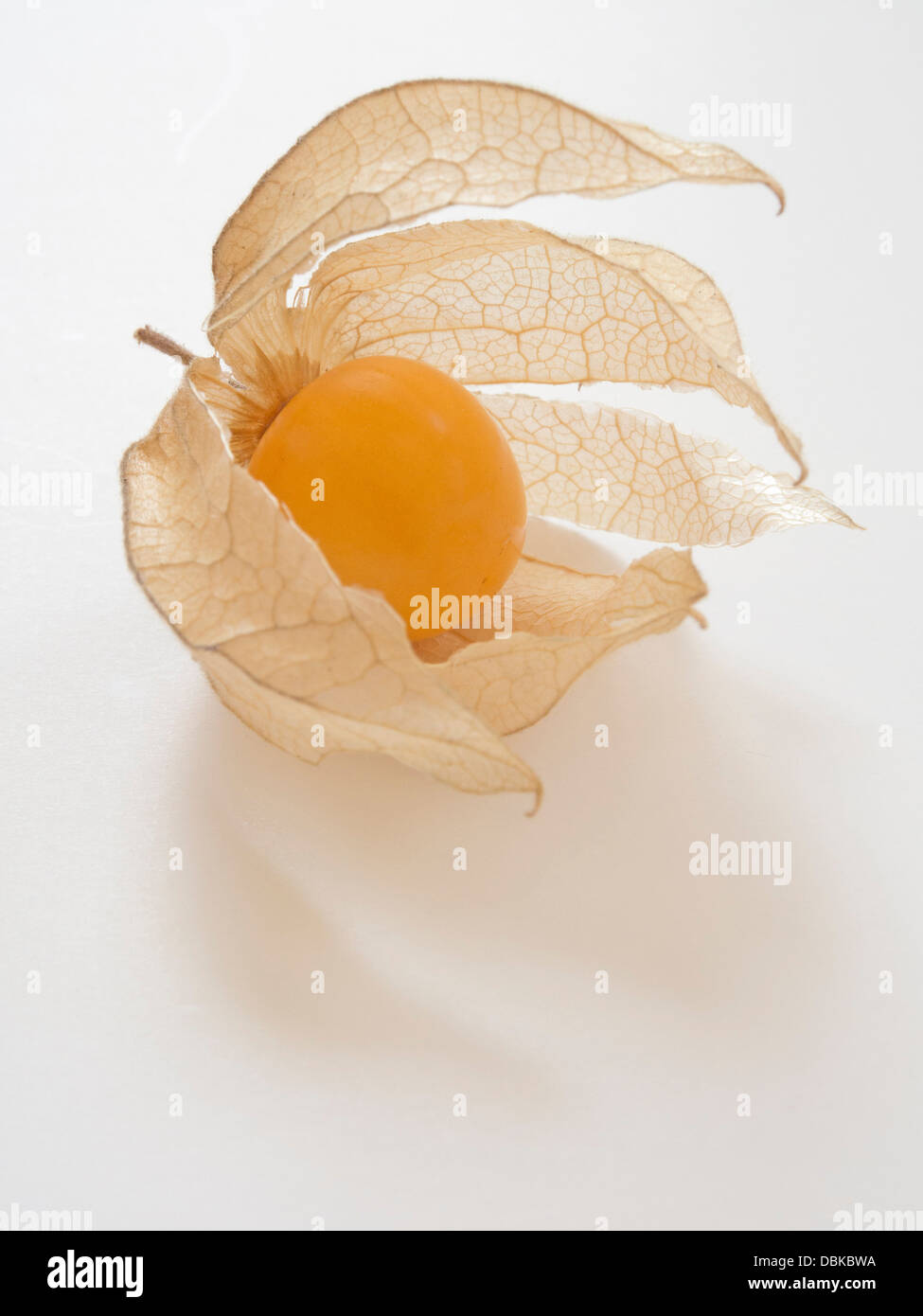 Japanese gooseberry hi-res stock photography and images - Alamy