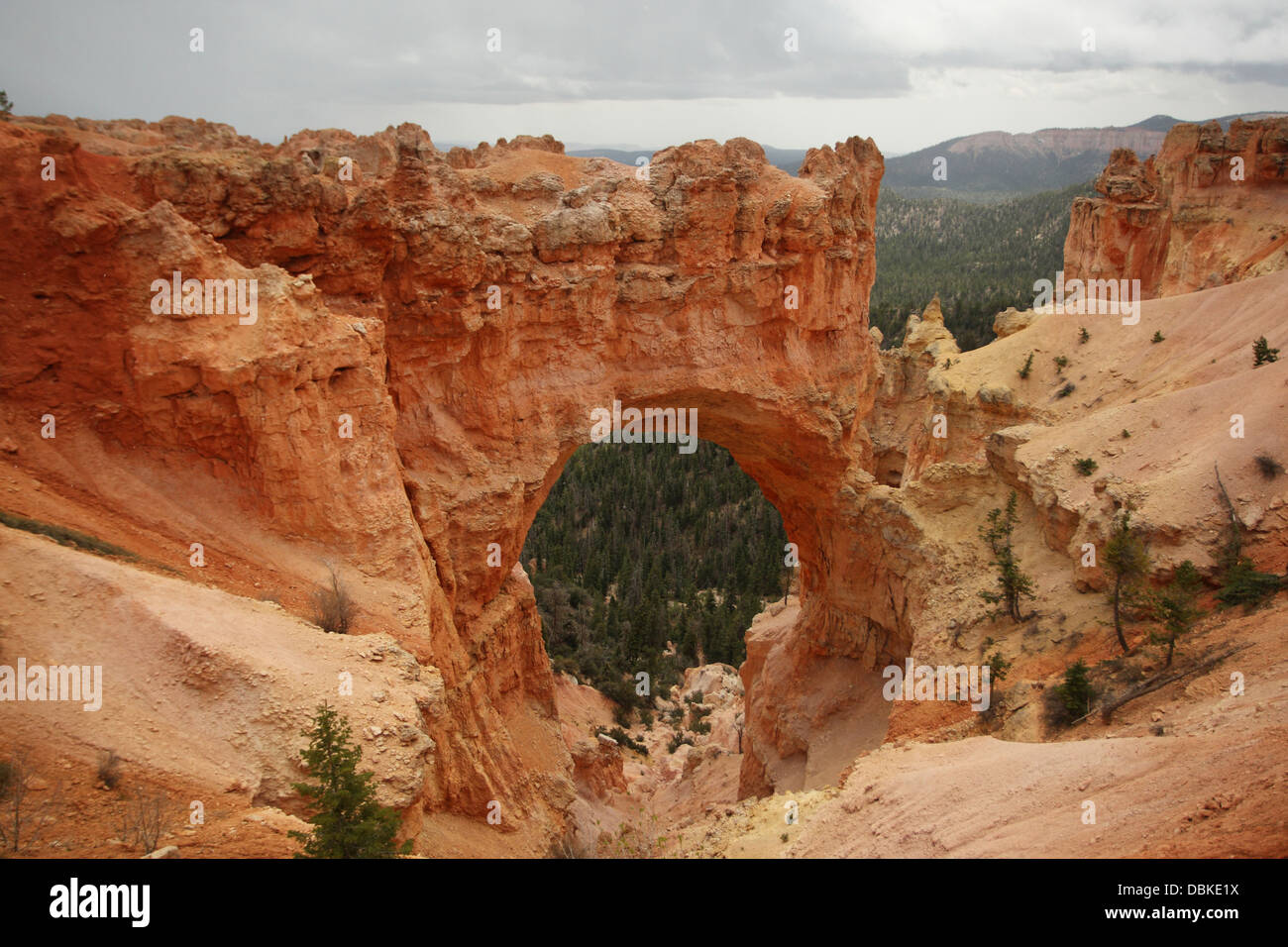 Geological sedimentary structures hi-res stock photography and images ...