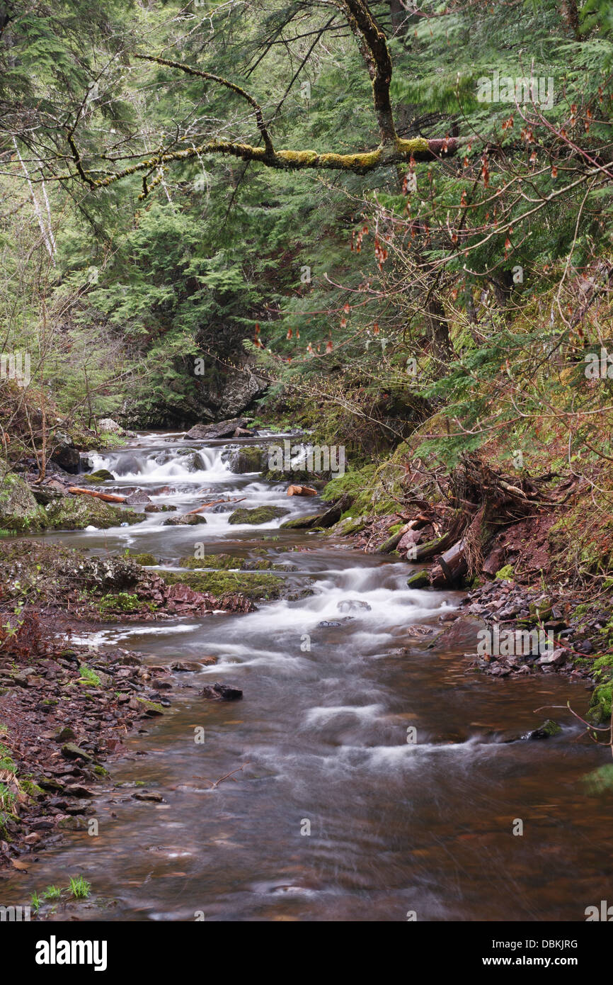 Wooded Stream Stock Photos & Wooded Stream Stock Images - Alamy